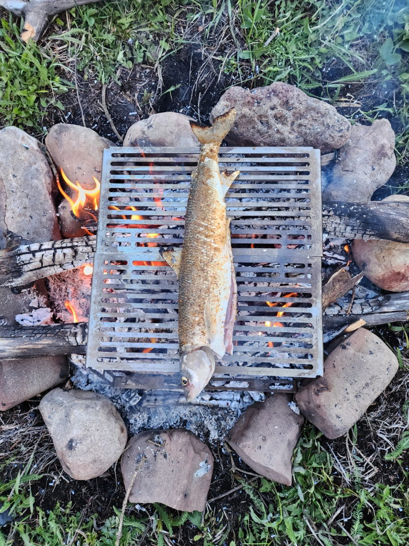 Grills Archives | Hofer Outdoors & Fishing